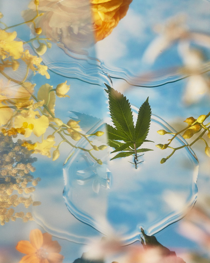 Stephanie Gonot Photo