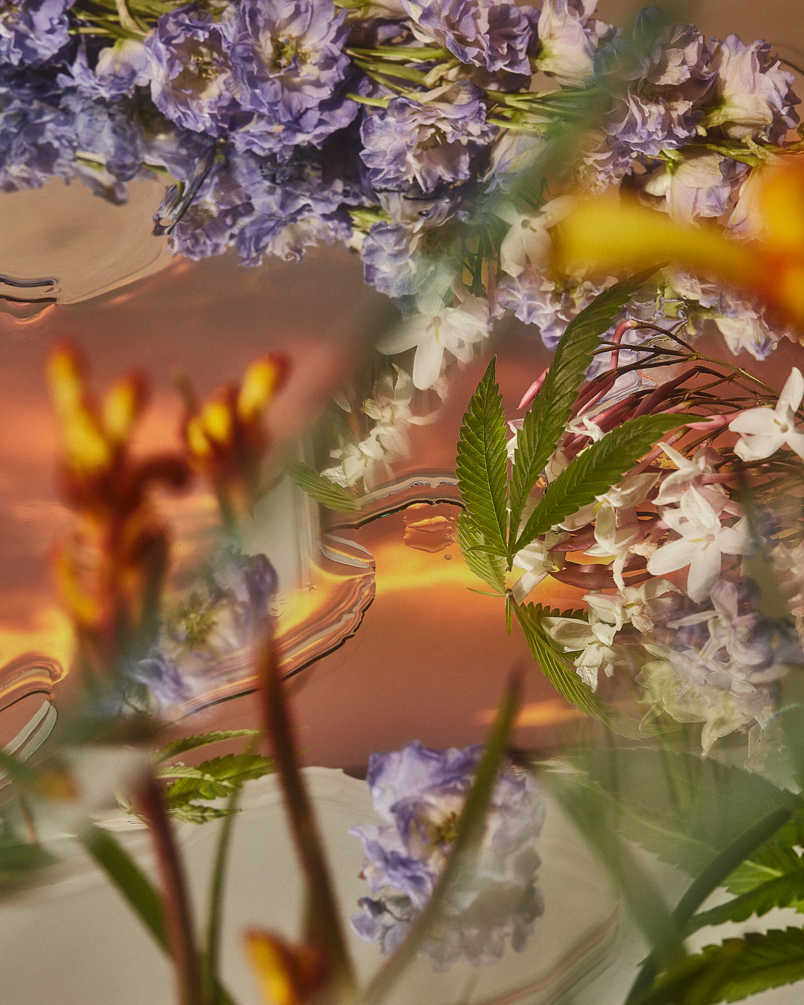 Stephanie Gonot Photo