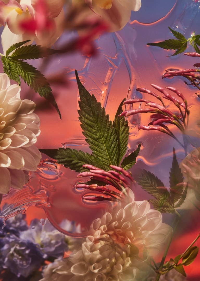 Stephanie Gonot Photo