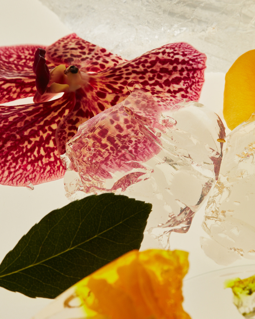 Stephanie Gonot Photo