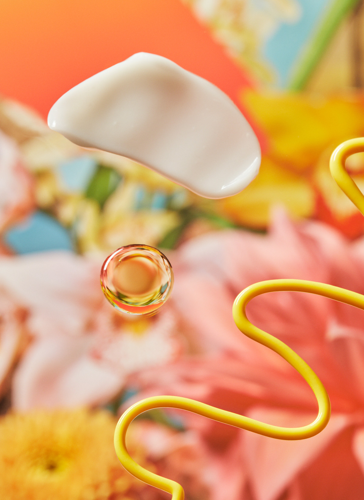 Still life - Stephanie Gonot Photo